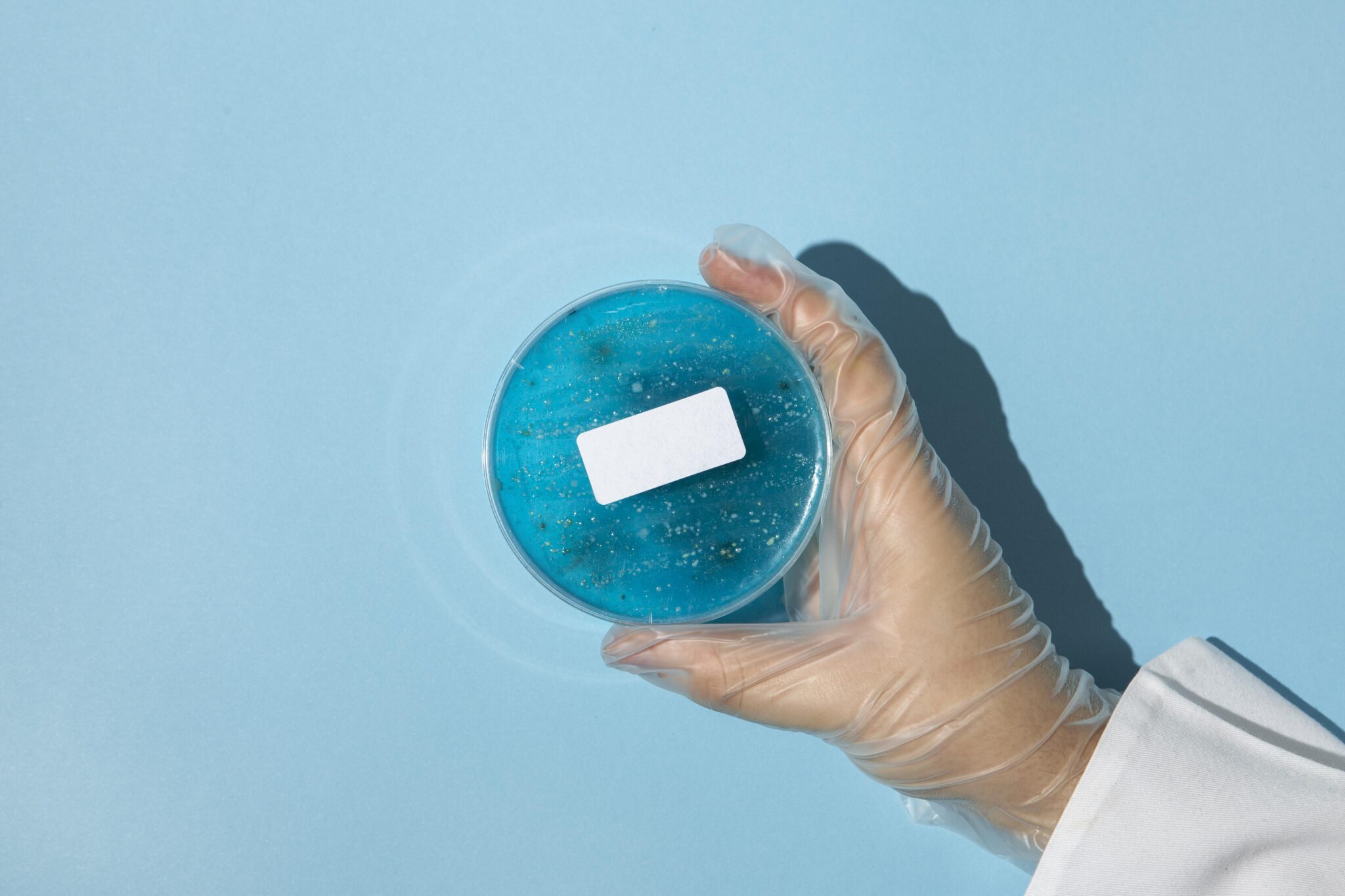 Wellness Through Cell Preservation - Bellevue Skin and Wellness